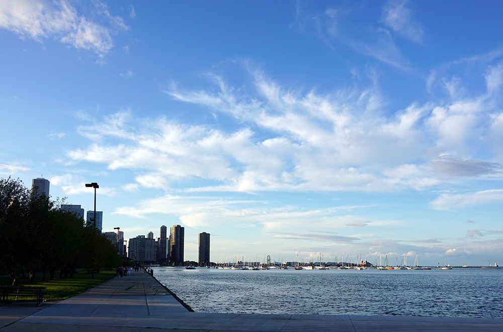 Jurassic World Chicago Field Museum | Bijoux & Bits